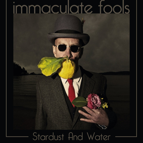 Stream Drowning on Dry Land by Immaculate Fools | Listen online for ...
