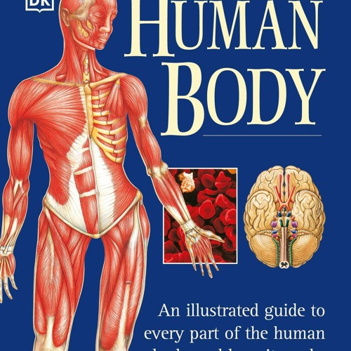 Stream episode READ [PDF] Human Body: An Illustrated Guide to Every ...