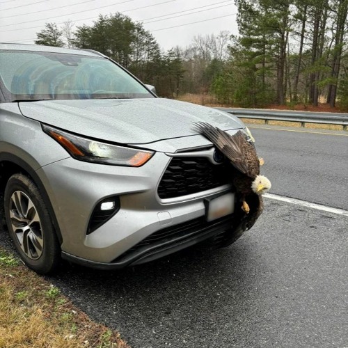 Stream Good News Tue Mar 19 2024 by BAS Sandusky Podcasts | Listen ...