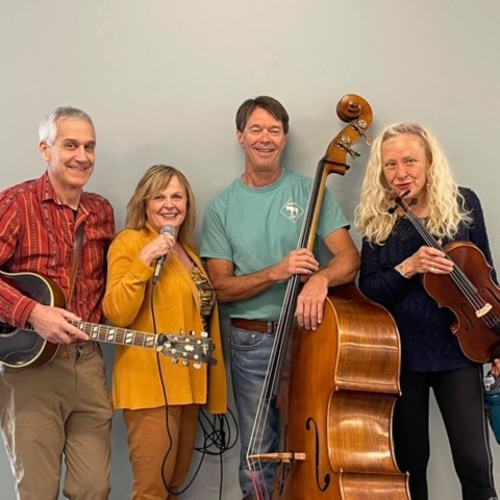 Stream Fly Me To The Moon by Craig Schriber | Listen online for free on ...