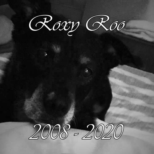 Stream The Best Dog In The World, Roxy Roo by Lux Imperium | Listen ...