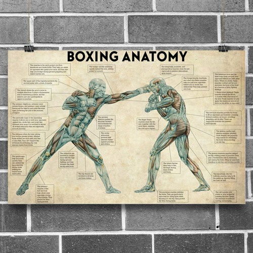 Stream Boxing anatomy poster by shirtshipfast | Listen online for free ...
