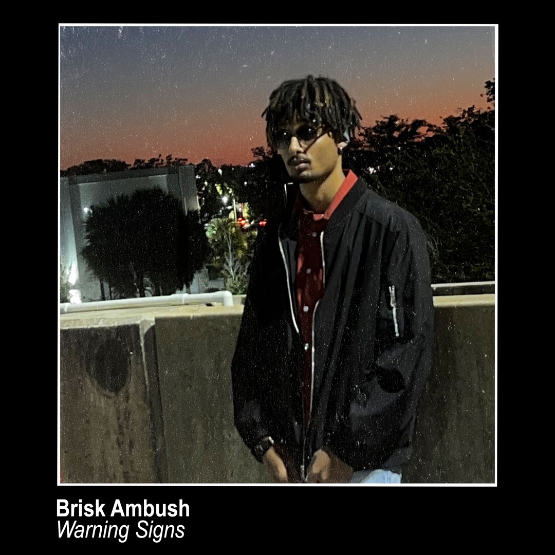 Stream Warning Signs by BRISK AMBUSH | Listen online for free on SoundCloud