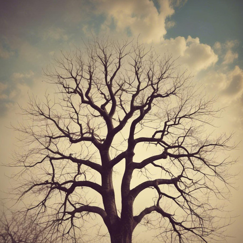 Stream ©Sharon R Atkins,2024.All rights reserved Thy Fathers Ways_We ...