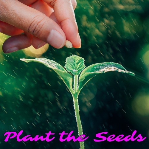 Stream Plant the Seeds by Mr. Good Employee | Listen online for free on ...