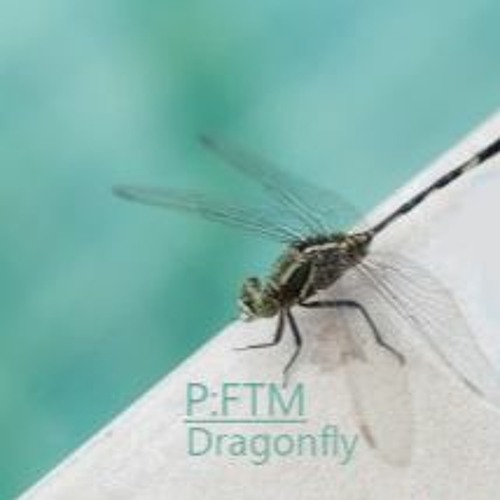 Stream Dragonfly by DJ Glenn aka PFTS(Pursuit For a Twisted Sound ...