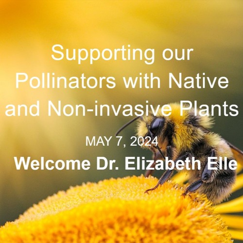 Stream Supporting our pollinators with native and non-invasive plants ...