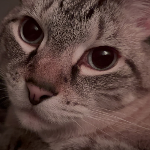 Stream DAW WARS MANIA MIX (longestsoloever) by Candyskull | Listen ...