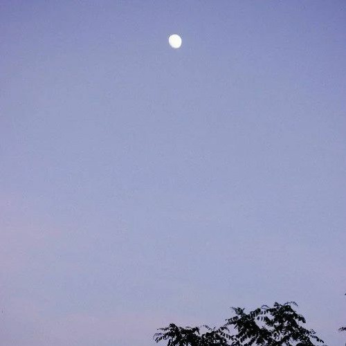 Stream Celestial Breakcore by ColbyTMW | Listen online for free on ...