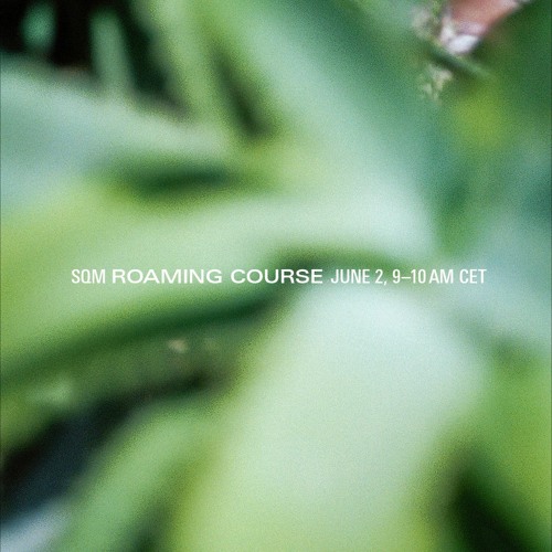 Stream Roaming Course Nr. 37 (23/06/02, Radio 80000) by Squama Recordings | Listen online for ...
