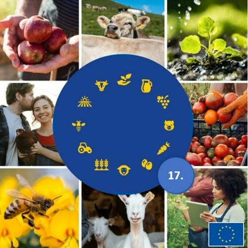 Stream 17. #Geographical indications: value throughout the EU food ...