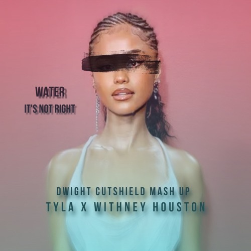 Stream TYLA - WATER X WHITNEY HOUSTON - IT'S NOT RIGHT (DWIGHT ...