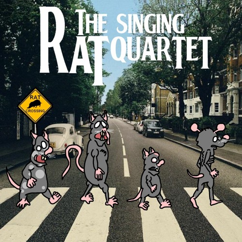 Stream Sewer Rats by The Singing Rat Quartet | Listen online for free ...