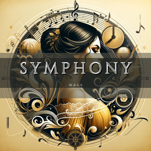 Stream Symphony by Wags Music | Listen online for free on SoundCloud