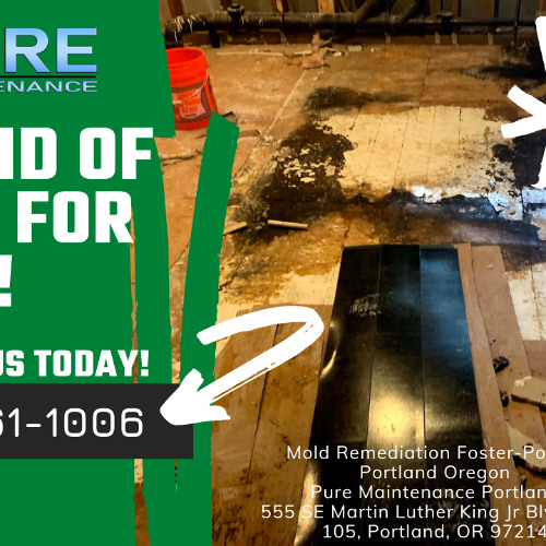 Stream episode Mold Remediation Foster-Powell Portland Oregon - 503-461 ...