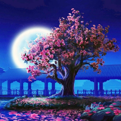 Stream Turn Me Up (Prod. Ego glock) by YOKAPPA | Listen online for free ...