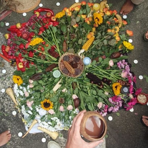 Stream Las Gracias Te Damos (adaptación) by Cacao Sagrado 🙏🏽🤎 | Listen ...