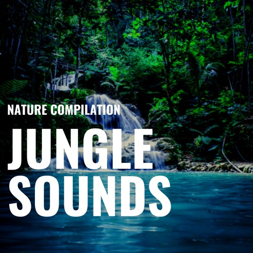 Stream Rainforest Sounds By Natural Sample Makers Listen Online For