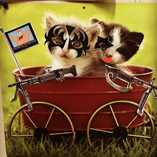 Stream Bullhorn(instr.) by Alan Yee | Listen online for free on SoundCloud