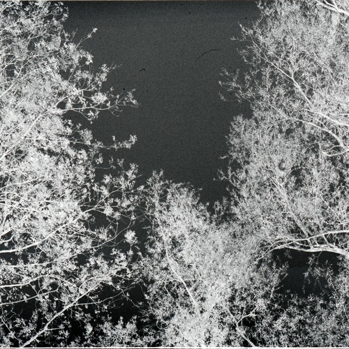 Stream Apt. 16, open door by grace wallis | Listen online for free on ...