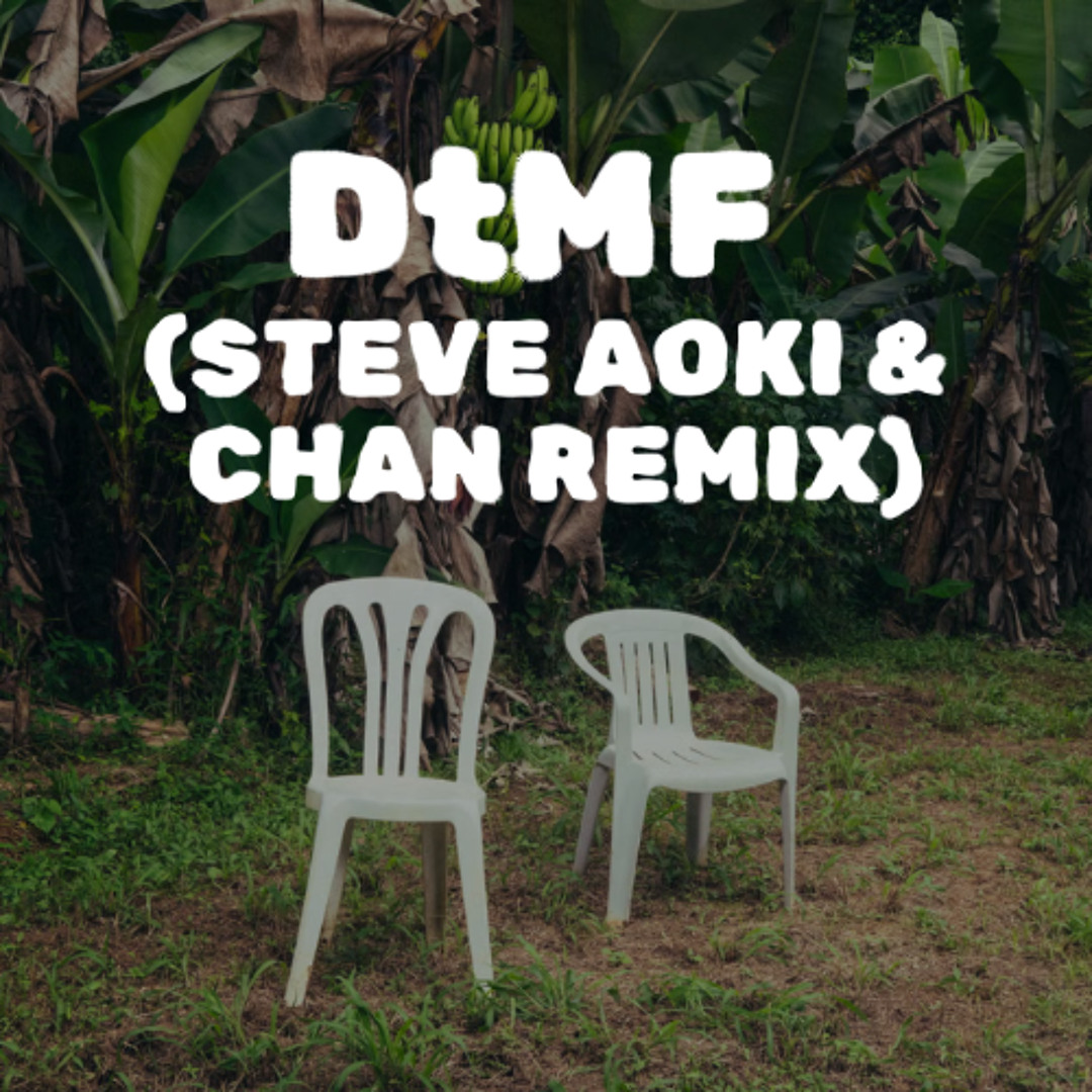 Stream DtMF (Steve Aoki x Chan Remix) by Steve Aoki | Listen online for free on SoundCloud