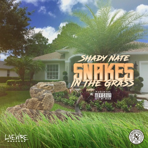Stream Shady Nate - Snakes in the Grass by Urbanlife Distribution ...