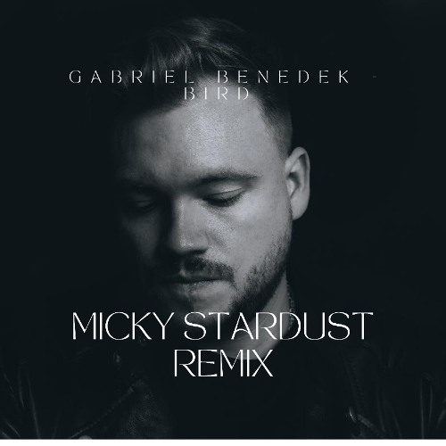 Stream Gabriel Benedek - Bird (Micky Stardust Remix) Updated by Micky ...