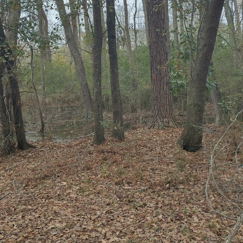 Stream Patrick Edward Purdy by Skip Skellington | Listen online for ...