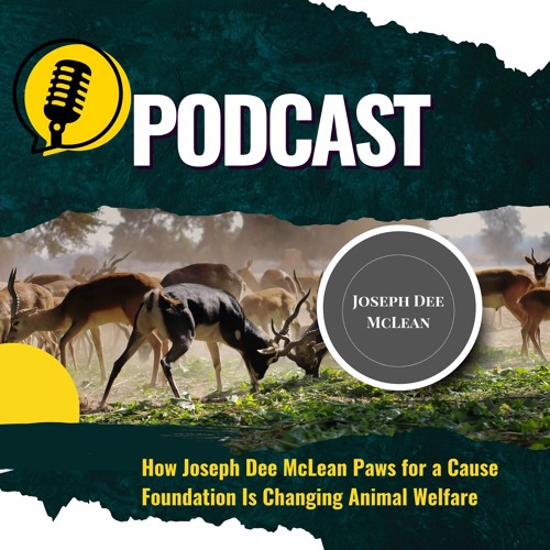 Stream How Joseph Dee McLean Paws for a Cause Foundation Is Changing Animal Welfare by Joseph ...
