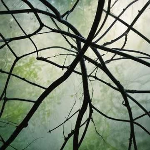 Stream These Palms Hold No Lifeline To You. (1) by Matthew Blowers ...