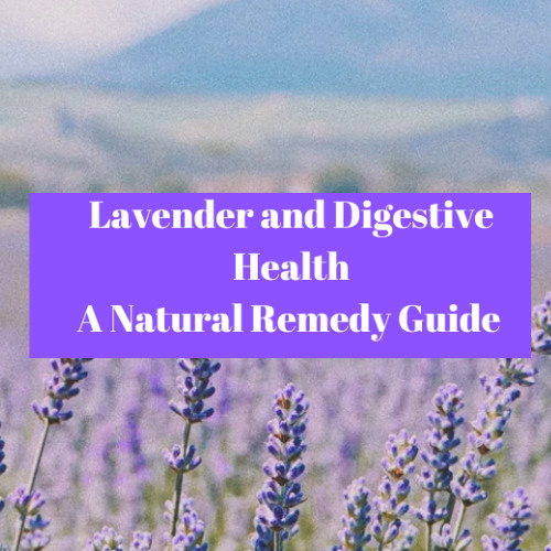 Stream episode Lavender and Digestive Health: A Natural Remedy Guide by ...