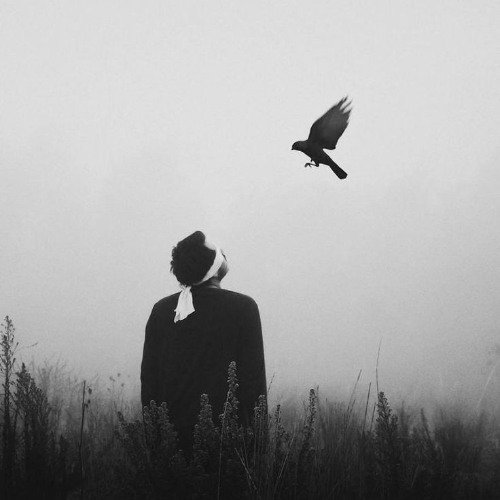 Stream im not an evil guy (sira vendeur) by soher ruach | Listen online ...