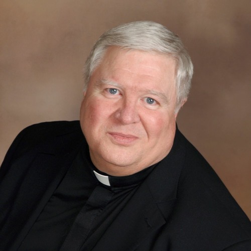 Stream Homily 6th Sunday In Ordinary Time February 12, 2023 Father ...