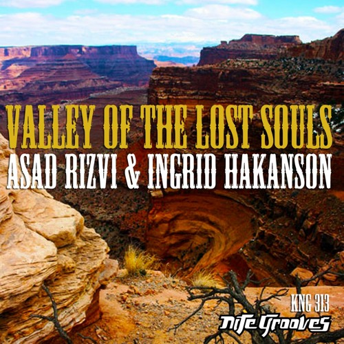 Stream Valley of the Lost Souls (Asads Silverlining Dub) by Asad Rizvi ...