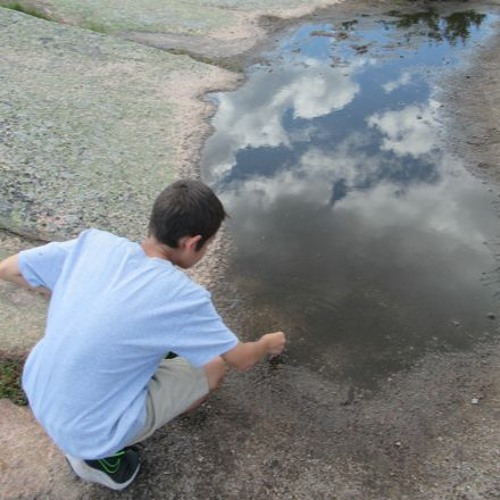 Stream 02 - Flags by Brian Kleinsmith | Listen online for free on SoundCloud