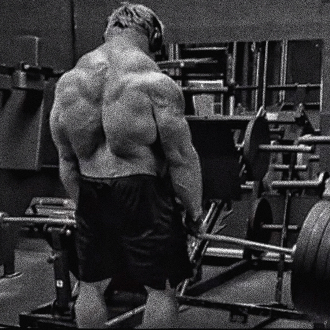 Stream icltspmo | Listen to jordan peters playlist online for free on ...