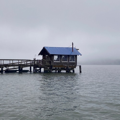 Stream Stanza of "guirá nãndu" by Nick Spiess | Listen online for free ...