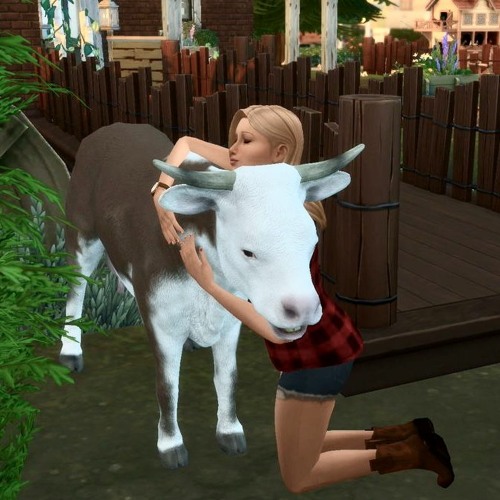 Stream Come Back Home by Francesca Hauser | Listen online for free on ...