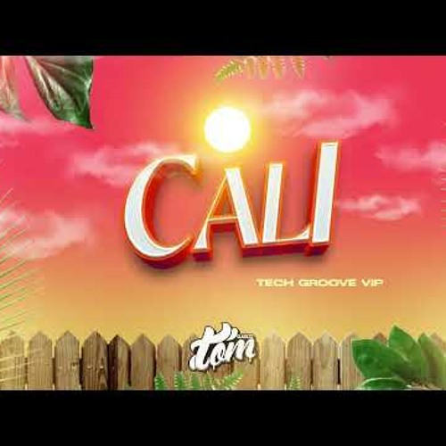 Stream Tom Gasco Cali Pachanguero ( Tech Groove Vip ) by DjDiegoarevalo | Listen online for free ...
