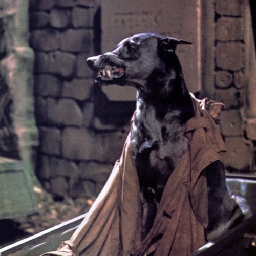 Stream Brett Howl | Listen to THE DOG LORD MIXTAPE IV: BRIDE OF DOG ...