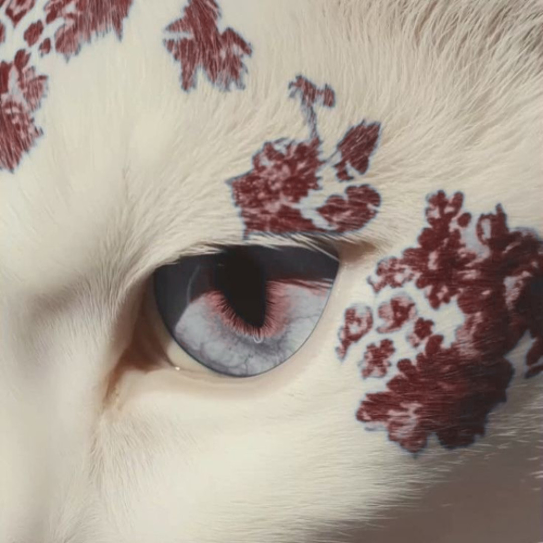 Stream let go by Amotti (@luvamotti) | Listen online for free on SoundCloud