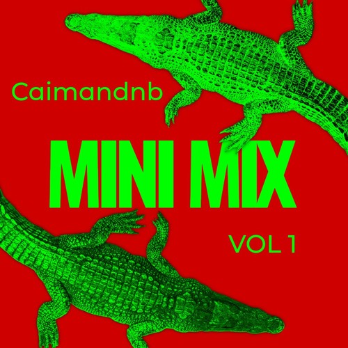 Stream Mini MIX VOL 1 by Caimandnb | Listen online for free on SoundCloud