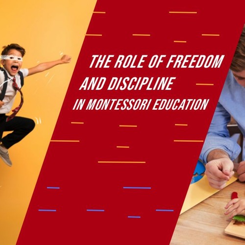 Stream ROLE OF FREEDOM by Alphabetz Montessori | Listen online for free ...