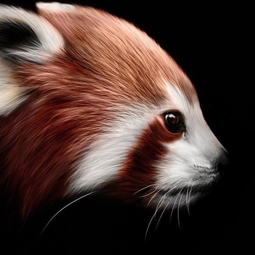 Stream episode Deep Dive Into Using Pointers In Functions In C Language by RedPanda podcast ...