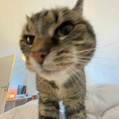 Stream Lv Up! by 50n1c | Listen online for free on SoundCloud