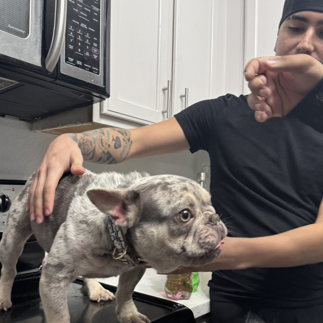 Stream dxrop - det (dip remix) [tisakorean] by dxrop | Listen online ...