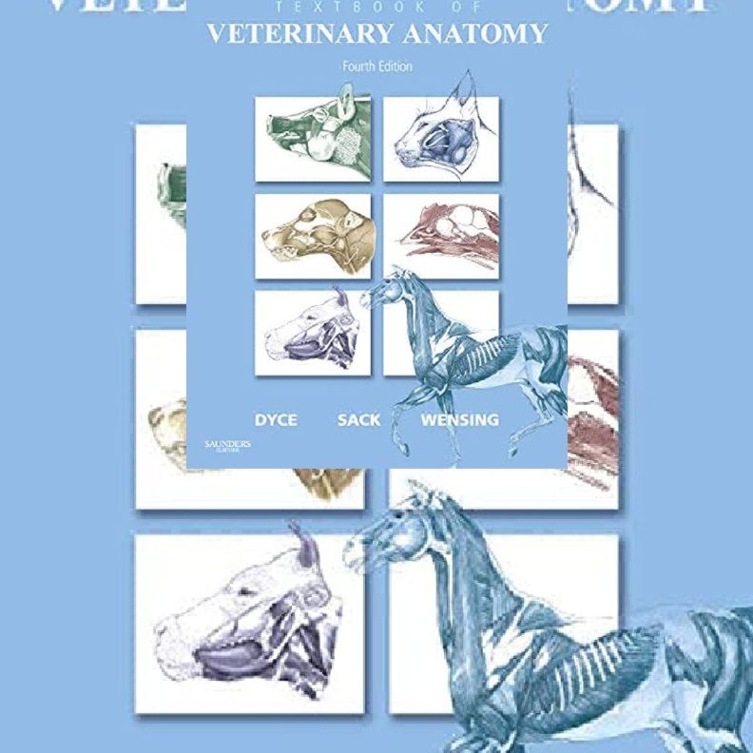 Stream [DOWNLOAD]⚡PDF Textbook of Veterinary Anatomy from nyralalodese ...