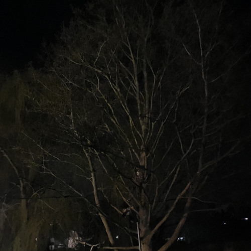 Stream che & soser - i love when its cold by massacre | Listen online ...