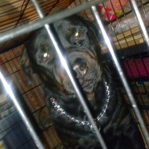 Stream migraine prod. 999ines by elioud | Listen online for free on ...