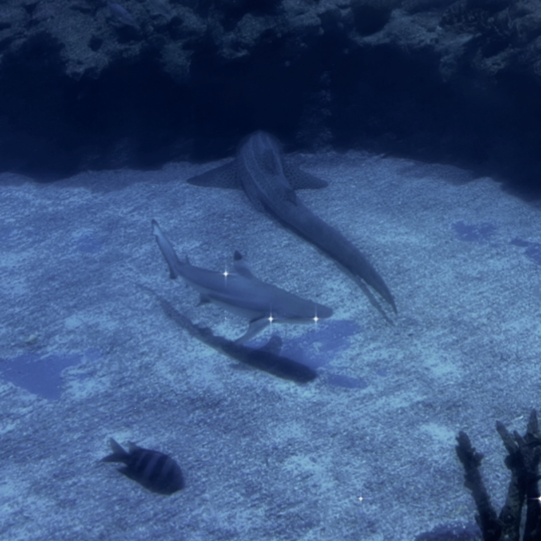 Stream Ice Spice - Did It First (Instrumental | Slowed ) by mariaN ...